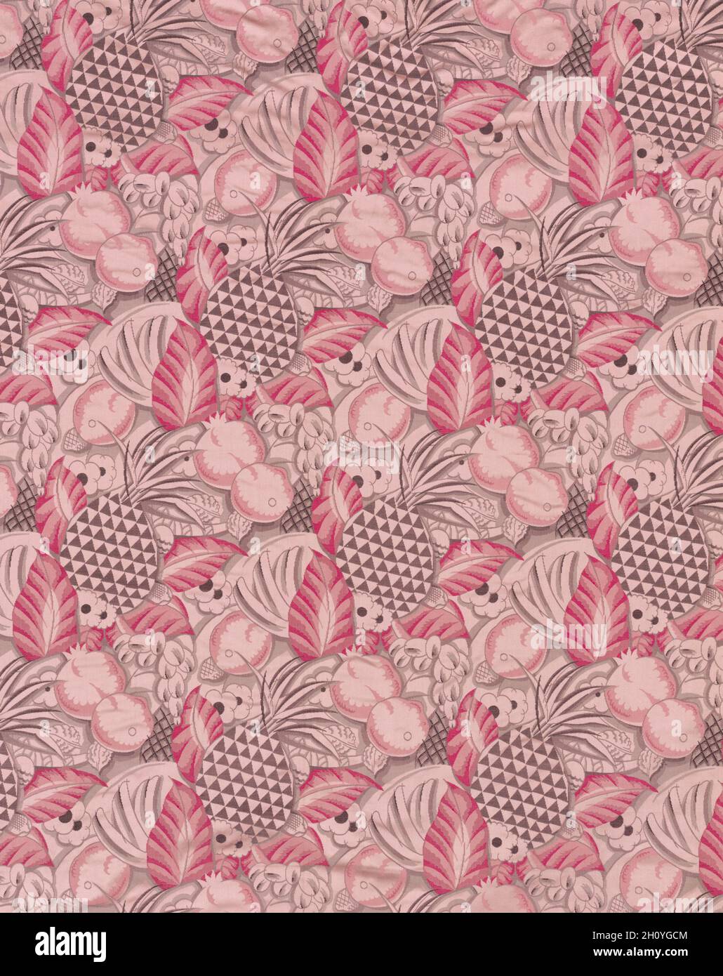 Ananas (ananas), 1923.Charles Martin (français, 1848-1934), Bianchini ...