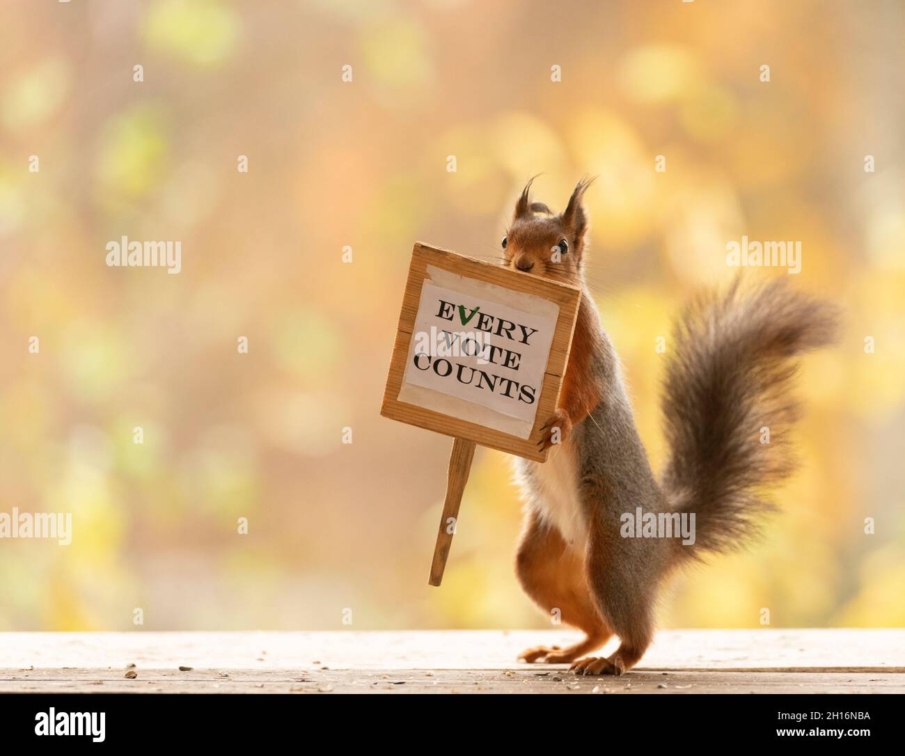 Vote compte Banque de photographies et d’images à haute résolution - Alamy