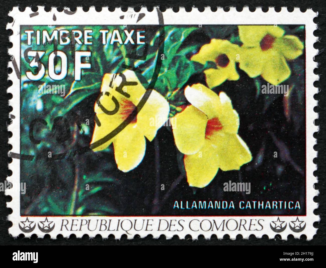 COMORES - VERS 1977 : un timbre imprimé aux Comores montre la trompette ...
