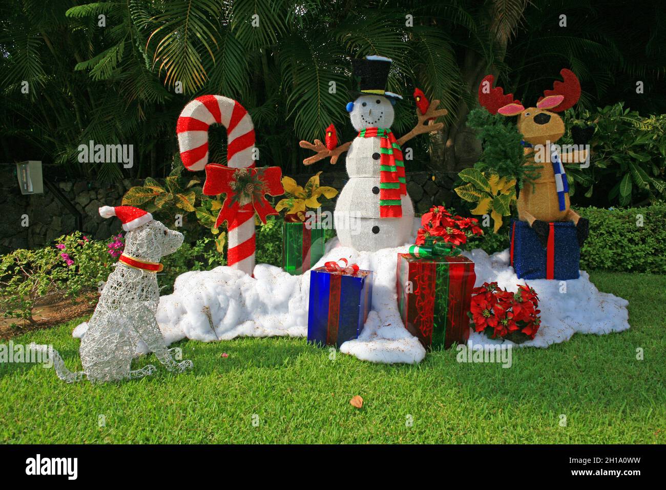 Noël à hawaii Banque de photographies et d’images à haute résolution ...