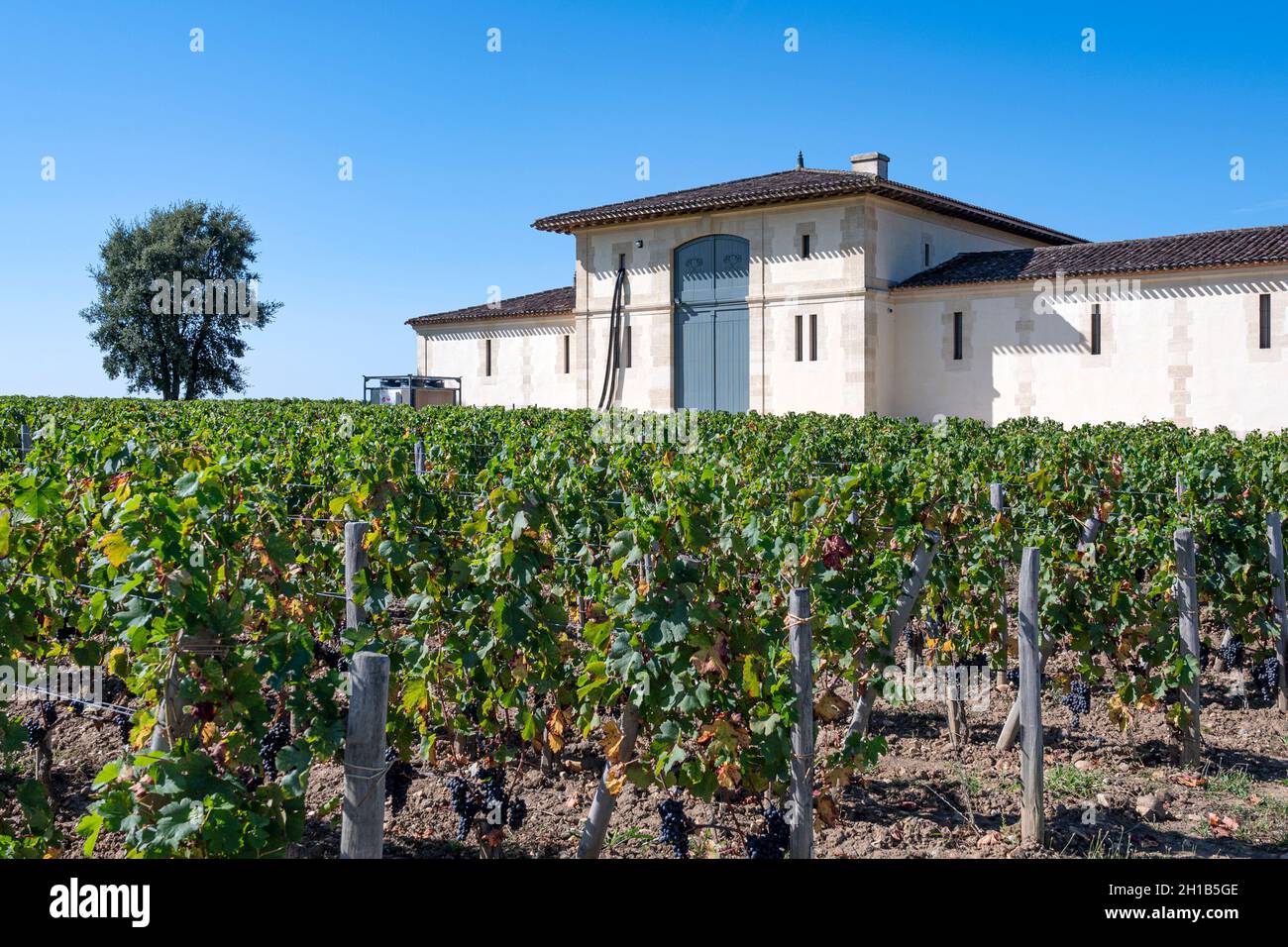 Aoc pomerol Banque de photographies et d’images à haute résolution - Alamy