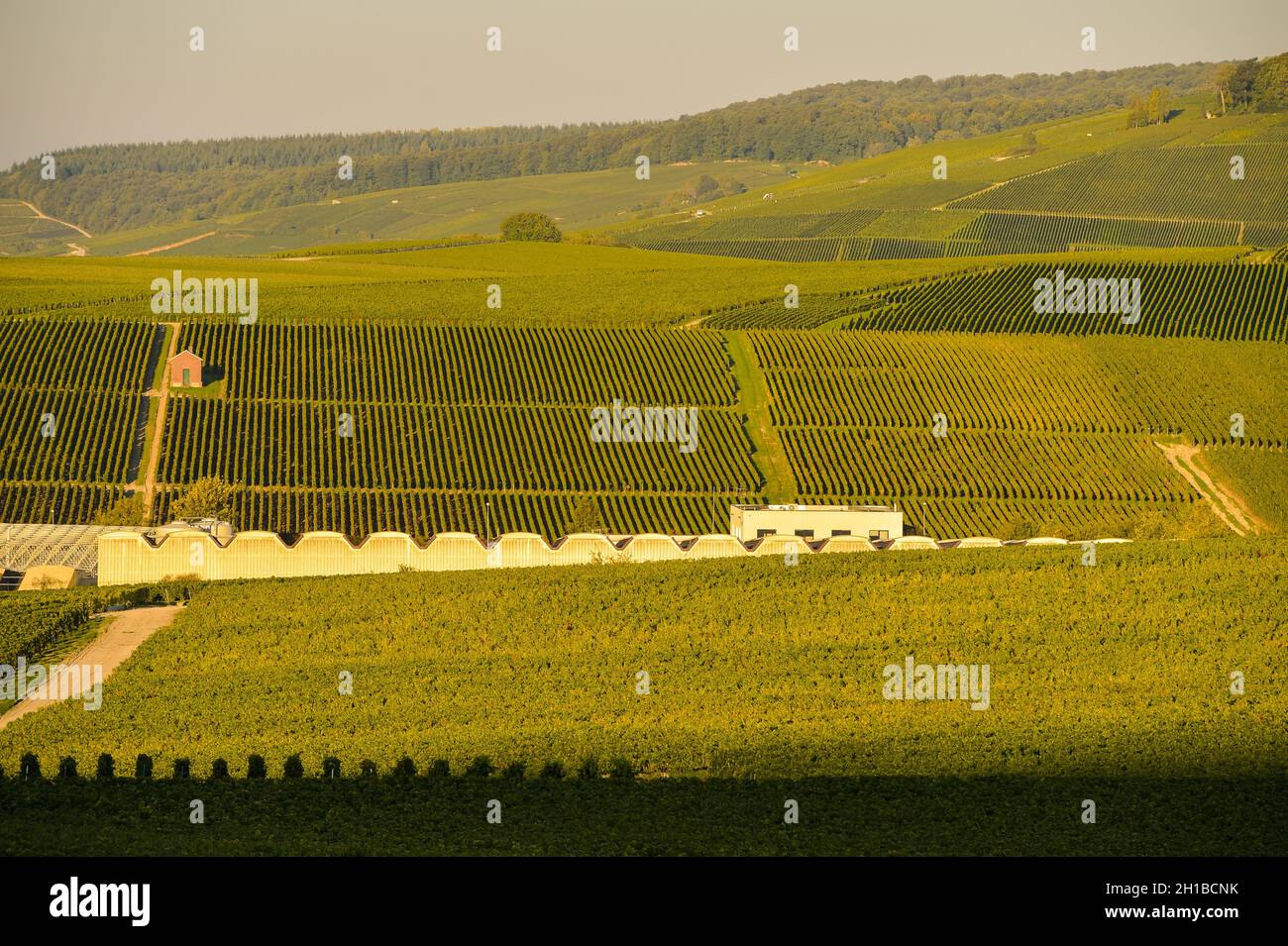 Région france champagne Banque de photographies et d’images à haute ...