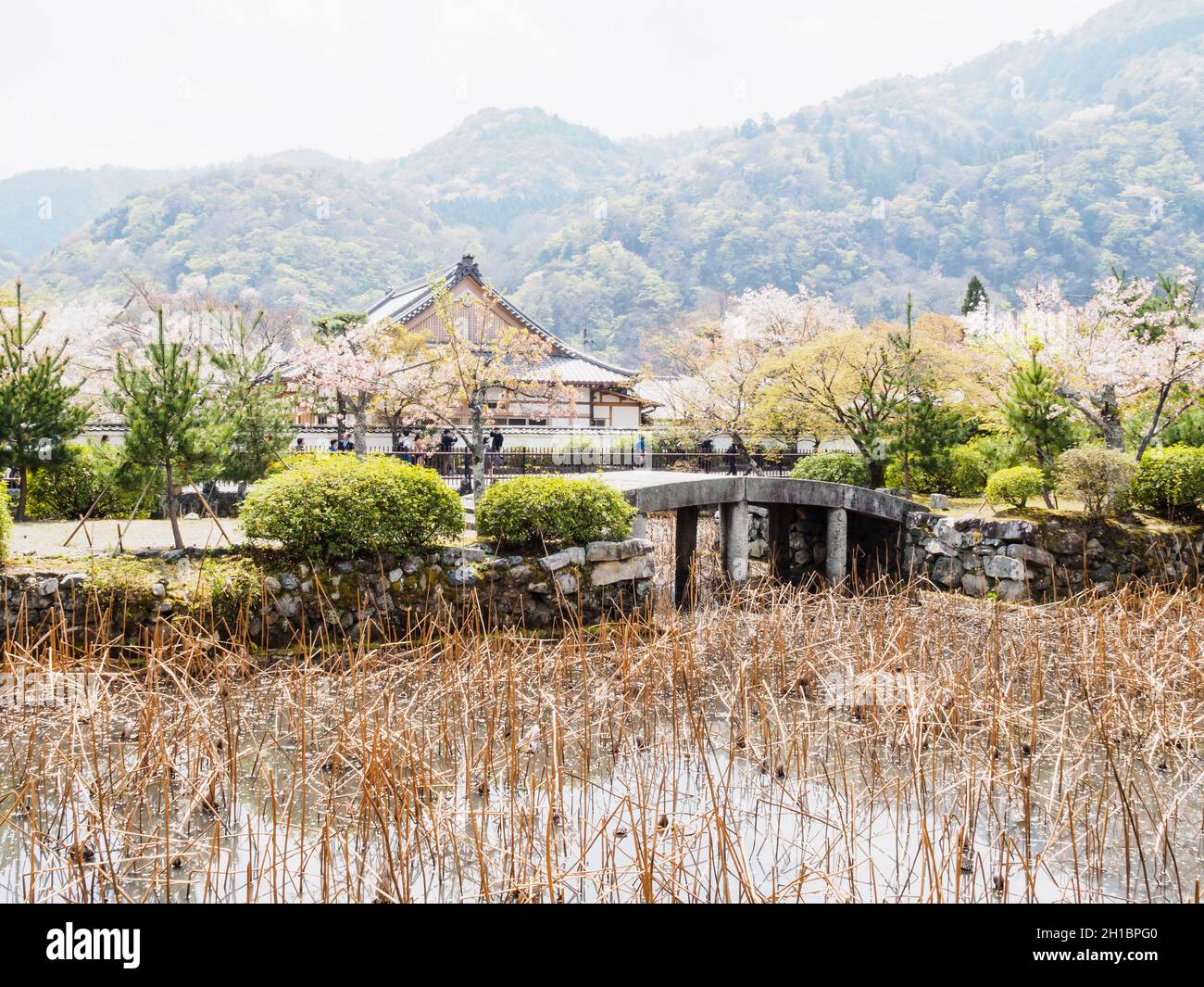 Montagnes arashiyama Banque de photographies et d’images à haute résolution - Alamy