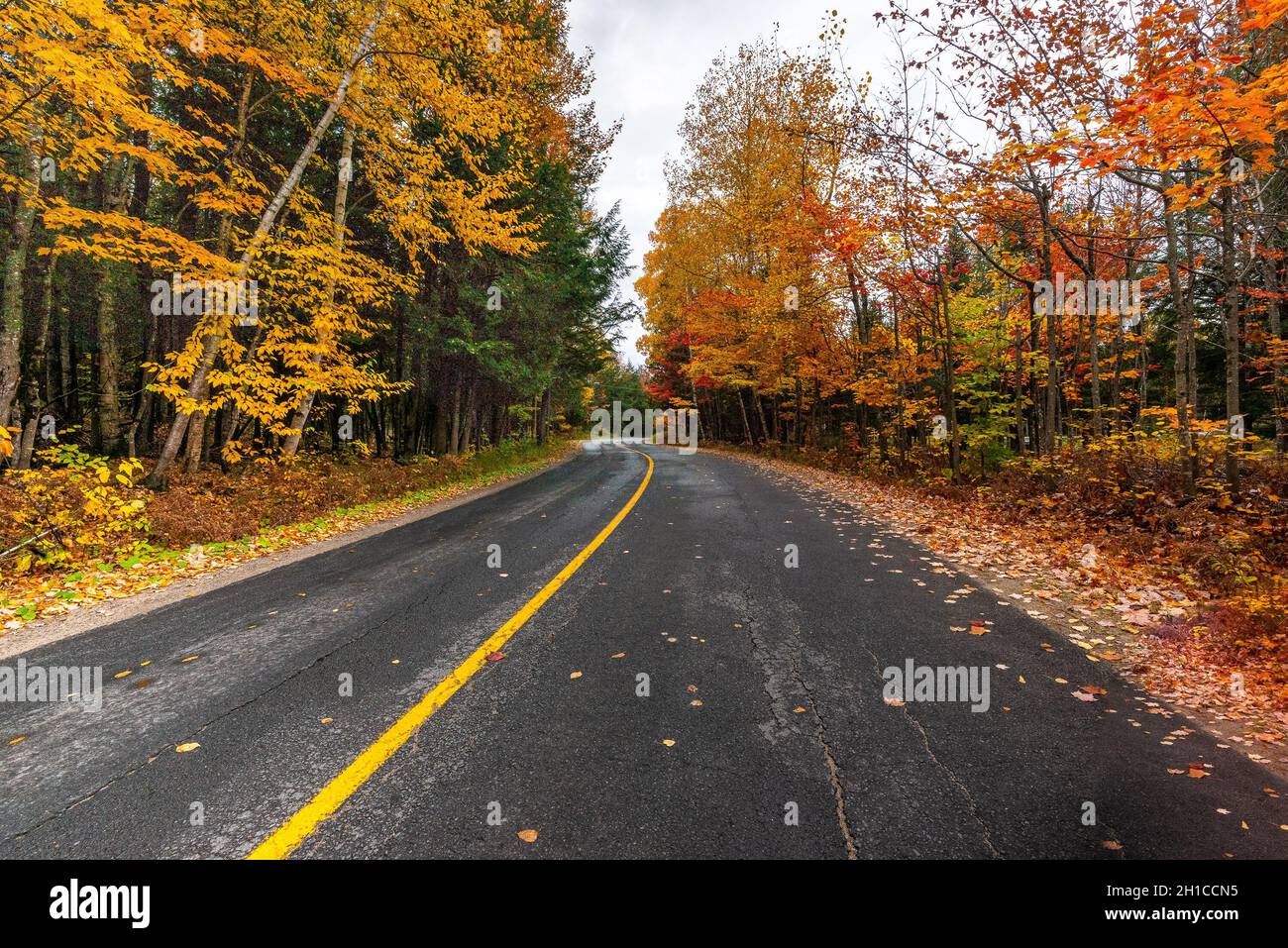 Paysage du printemps laurentides québec Banque de photographies et d ...