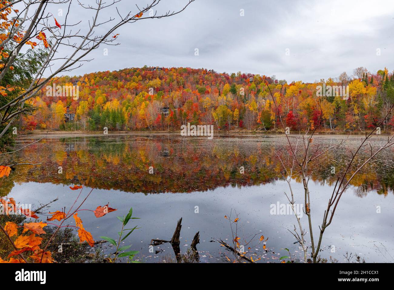 Paysage du printemps laurentides québec Banque de photographies et d ...