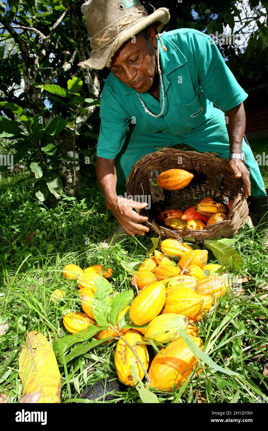 Production de fruits Banque de photographies et d’images à haute ...