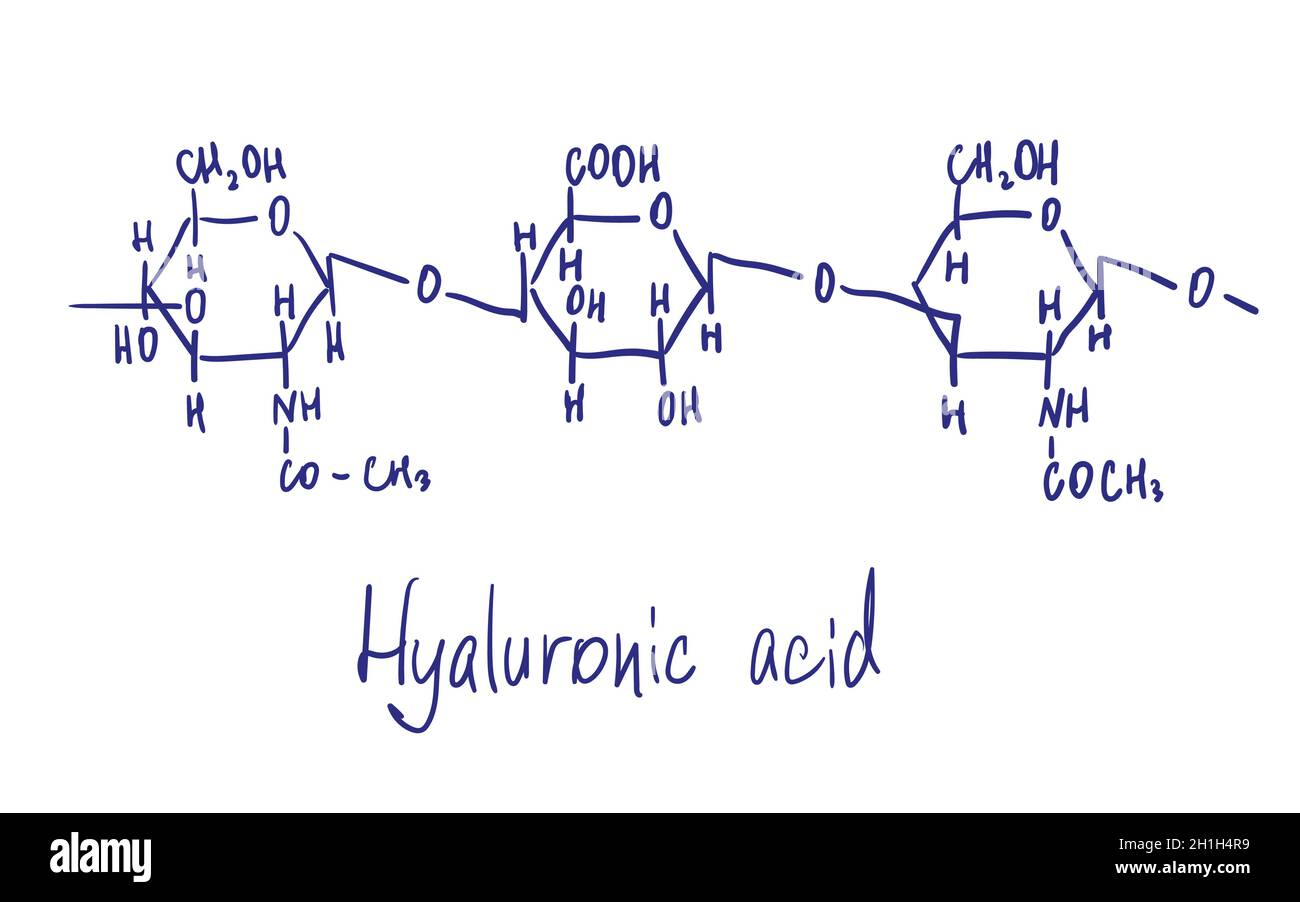 Structure chimique de l'acide hyaluronique.Illustration vectorielle ...