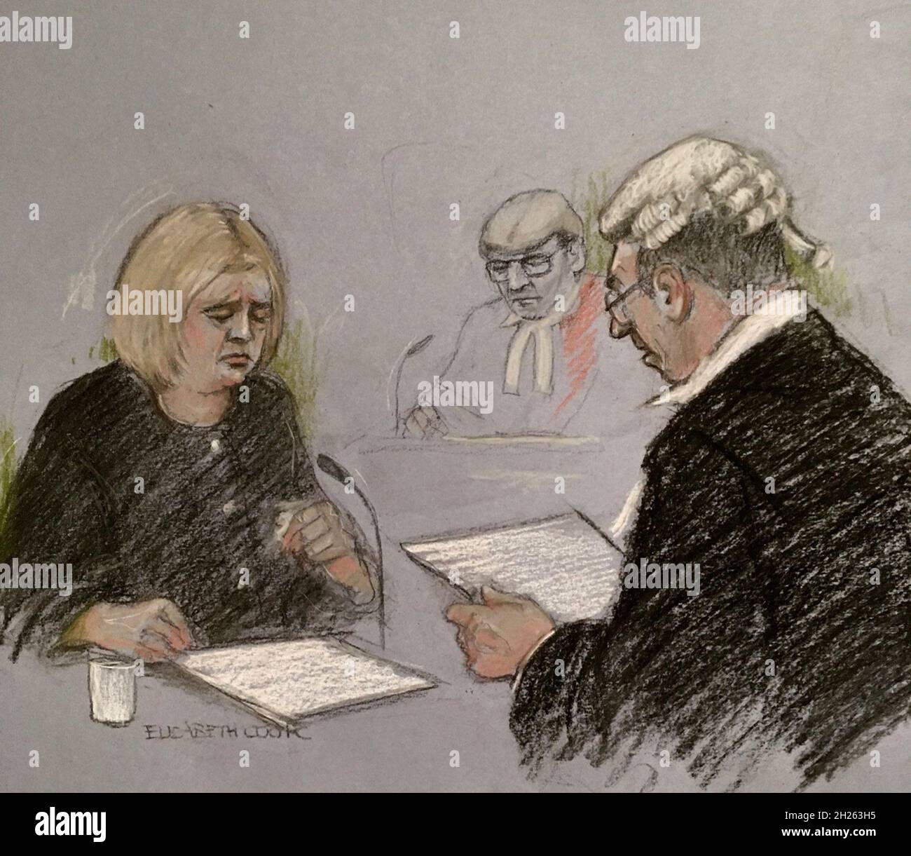 Croquis de l'artiste de la Cour par Elizabeth Cook de Penelope Jackson ...