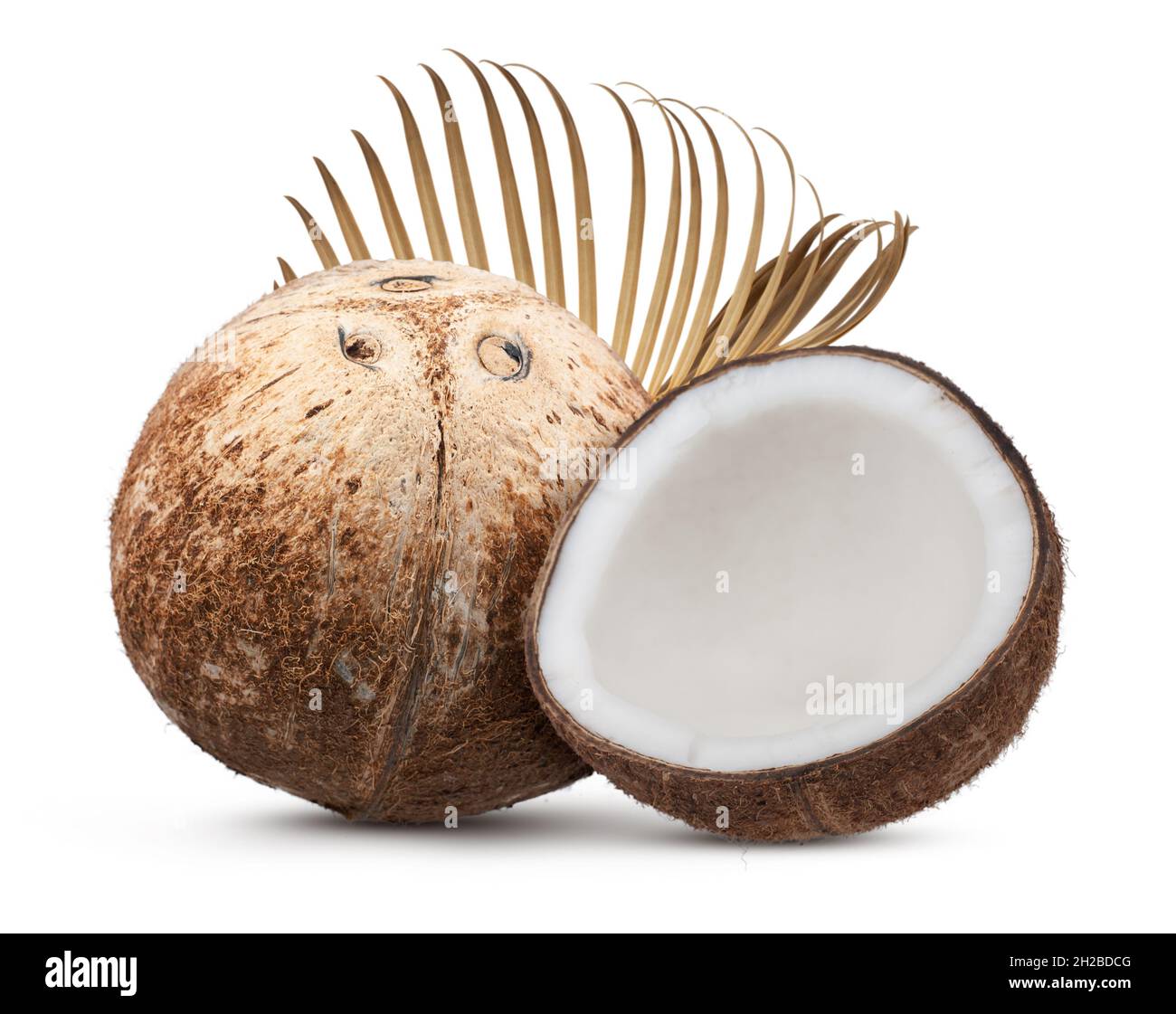 Fruit rond poilu Banque de photographies et d’images à haute résolution ...