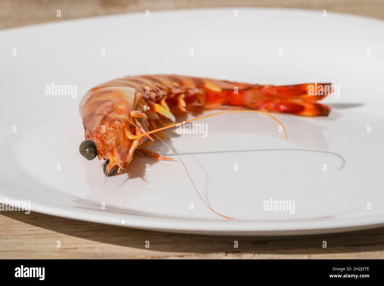 Giant tiger prawn Banque de photographies et d’images à haute ...