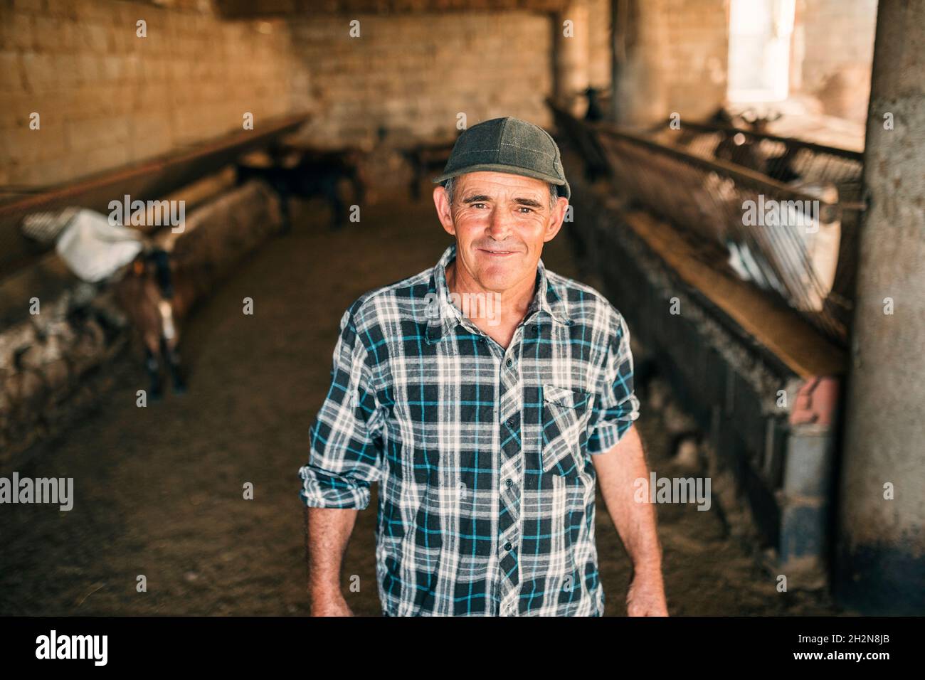 Happy goat Banque de photographies et d’images à haute résolution - Alamy