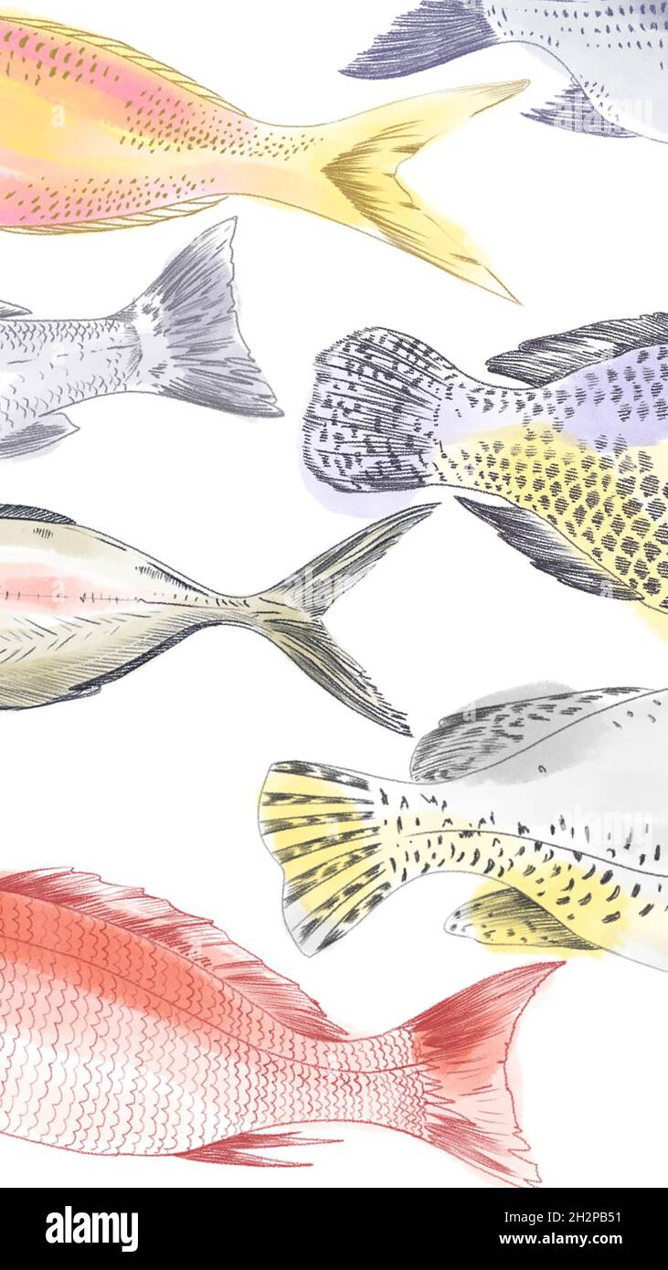 Impression de queues de poisson Banque de photographies et d’images à ...