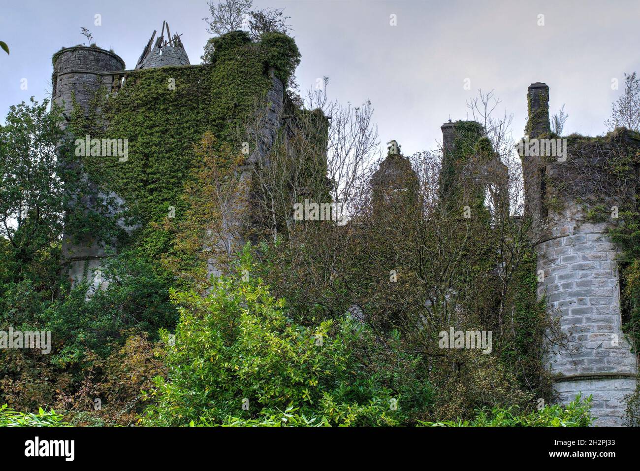 Buchanan castle Banque de photographies et d’images à haute résolution ...