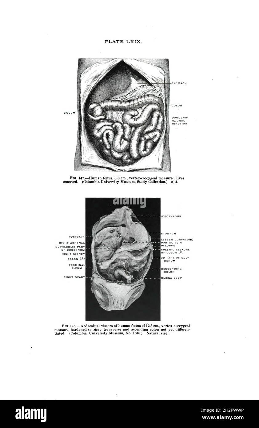 Anatomy book Banque de photographies et d’images à haute résolution - Alamy