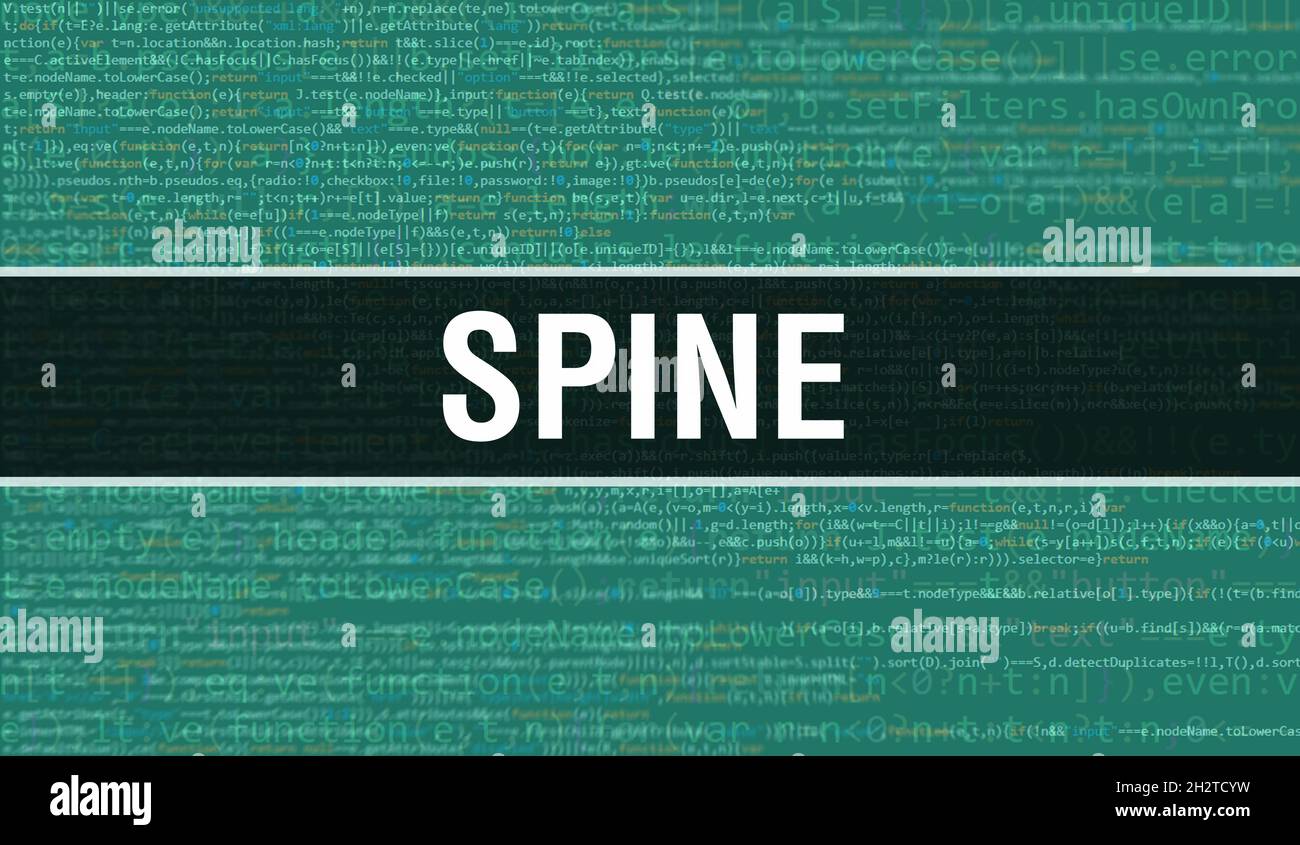 COLONNE vertébrale avec texte de code Java numérique.CONCEPT de vecteur ...