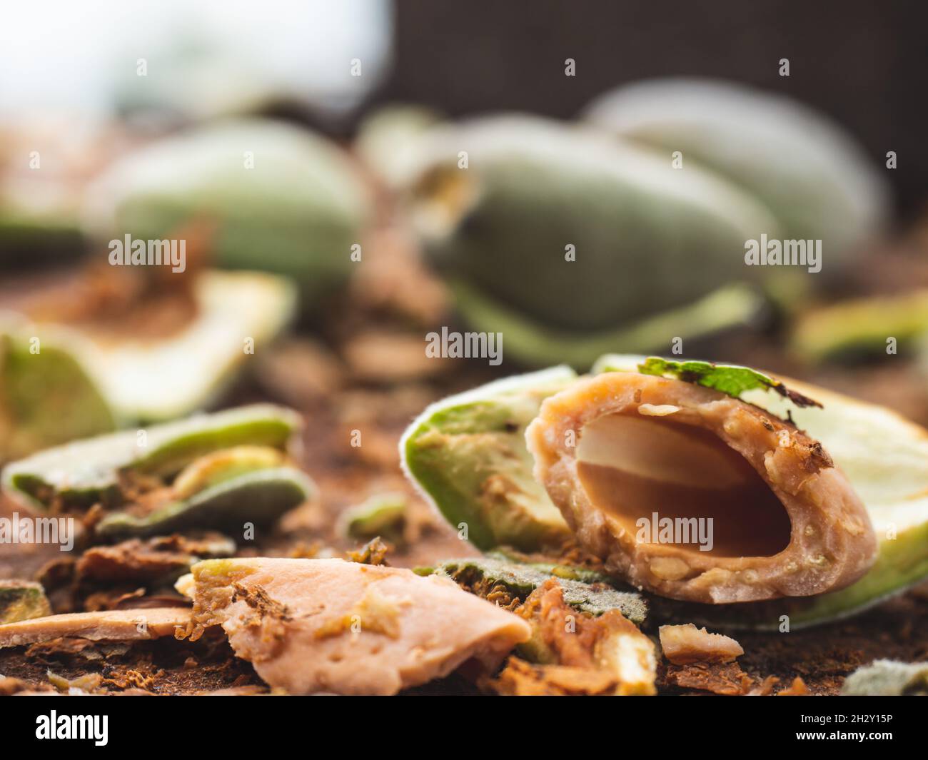 Noix d'amande fissurée, coquilles et amandes fraîches à éplucher à ...
