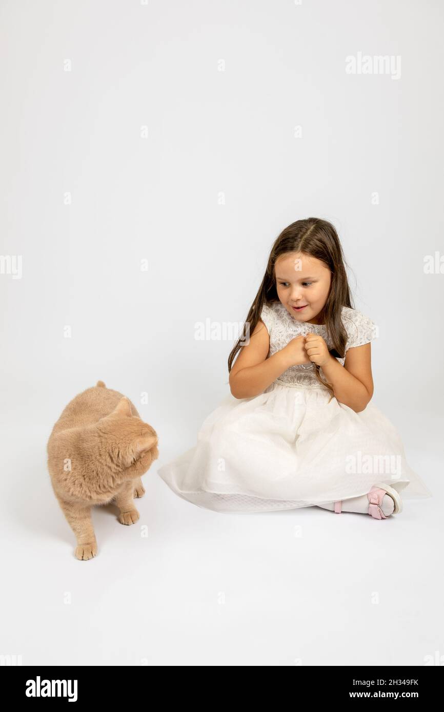 Passe temps britannique Banque de photographies et d’images à haute ...