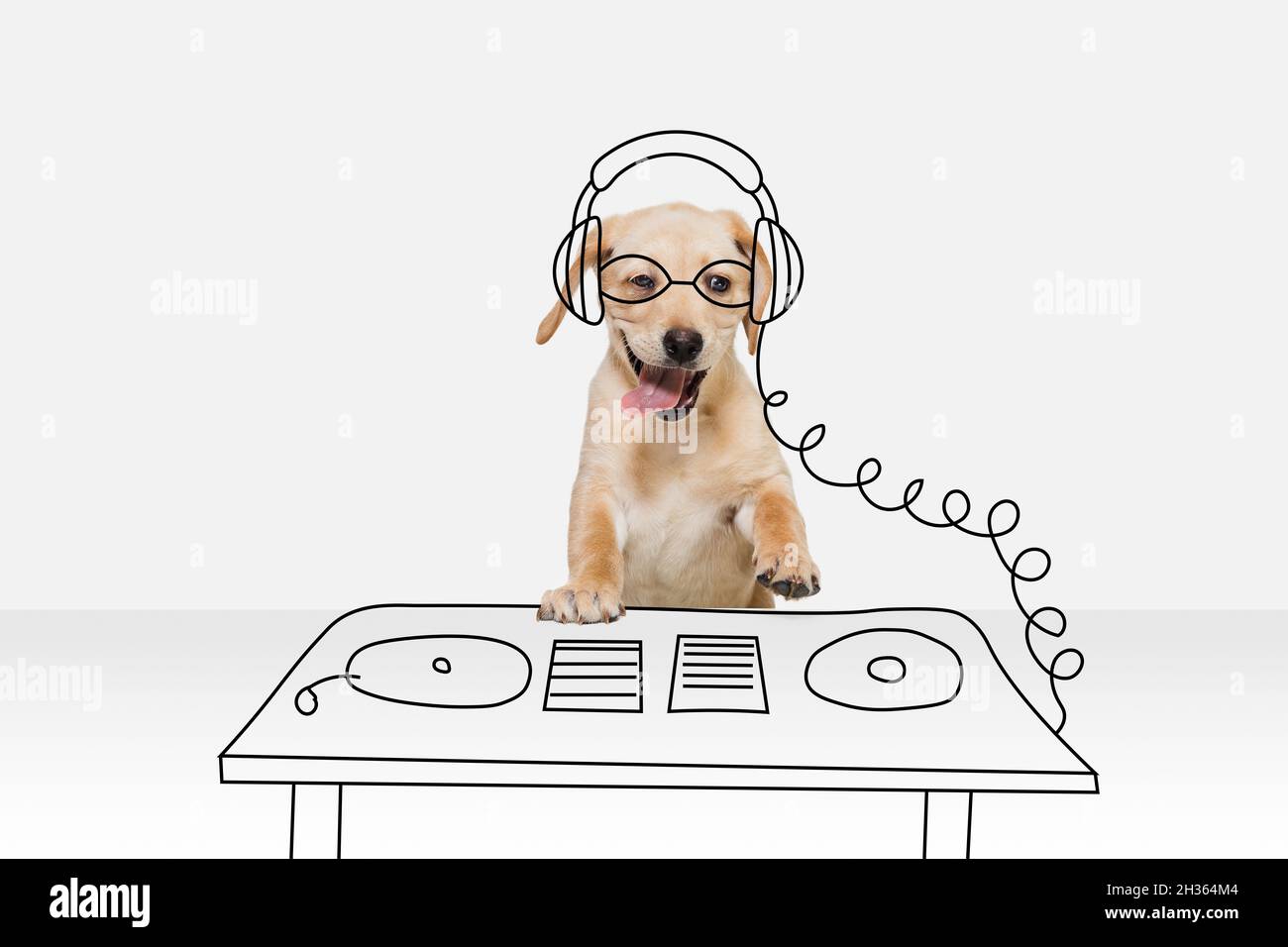 Dj collage Banque de photographies et d’images à haute résolution - Alamy