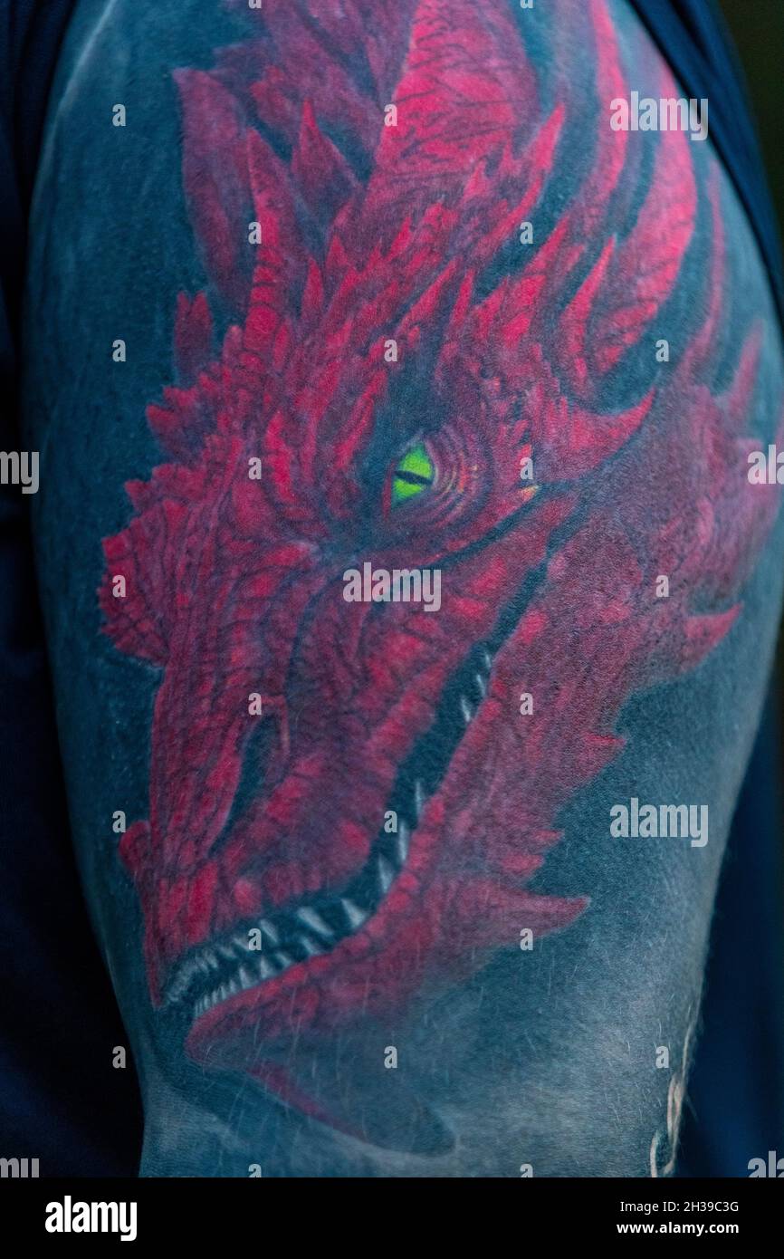 Alexa Roumain migrant est si fier de vivre au pays de Galles qu'il a eu ...