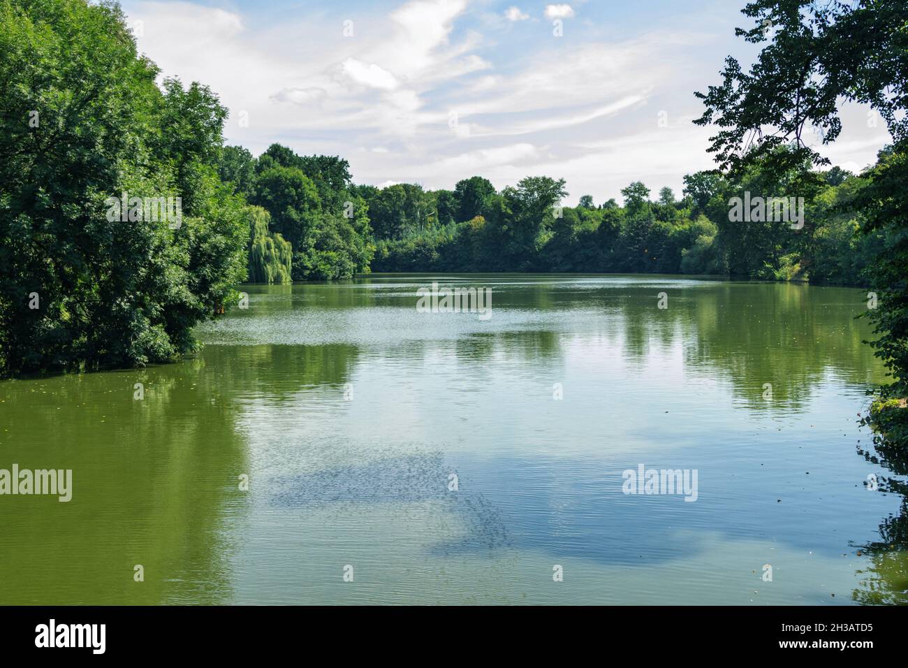 Pelouses naturelles Banque de photographies et d’images à haute ...