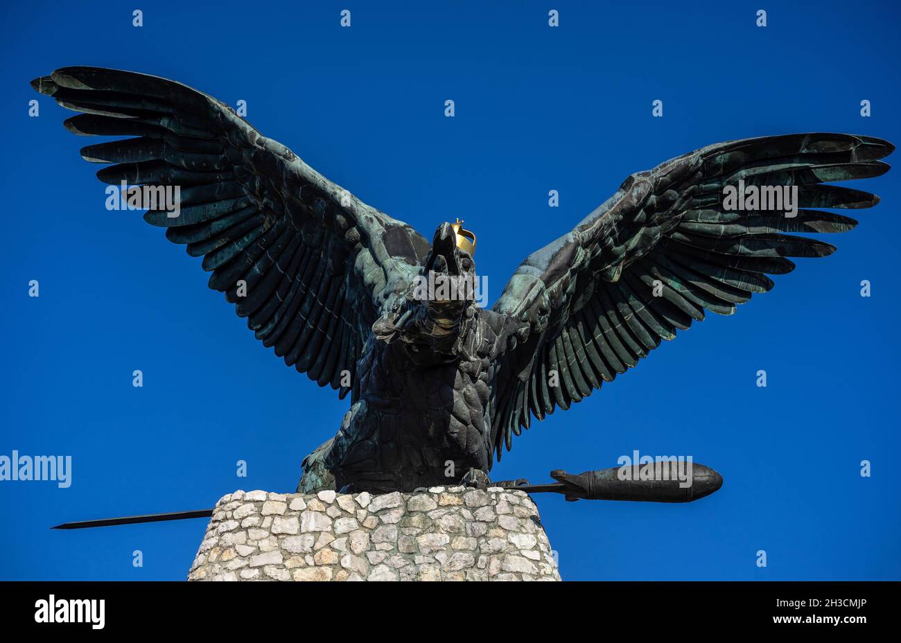 Oiseau turul Banque de photographies et d’images à haute résolution - Alamy