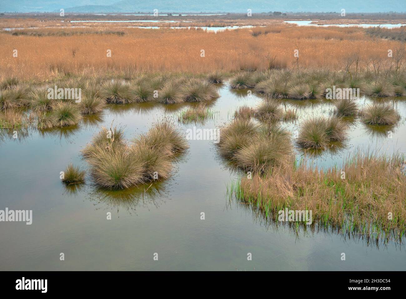 Plaine inondable plaine inondable Banque de photographies et d’images à ...