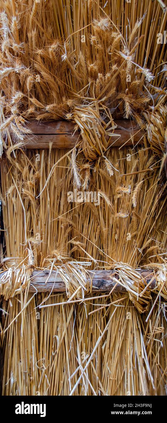 Sous-structure d'un ancien toit de paille sur une grange en Autriche ...