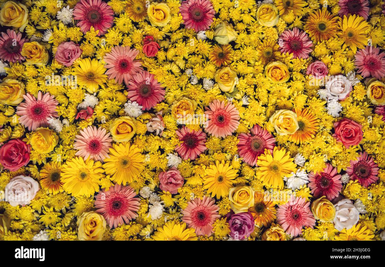 Fleurs texture Banque de photographies et d’images à haute résolution ...