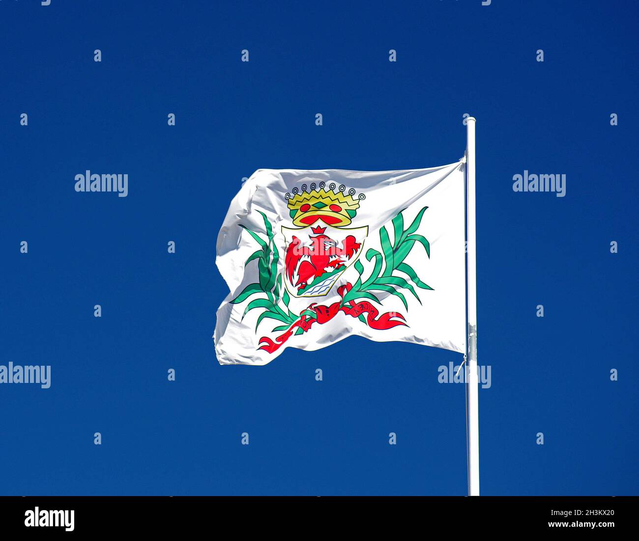 Drapeau de paca Banque de photographies et d’images à haute résolution ...