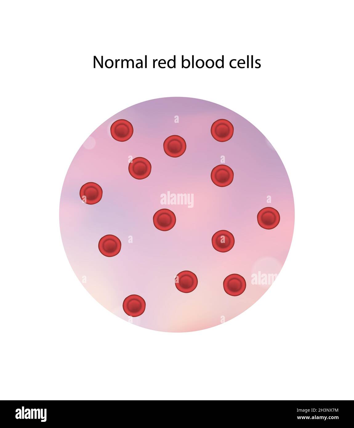 Cells biology Banque d'images détourées - Alamy