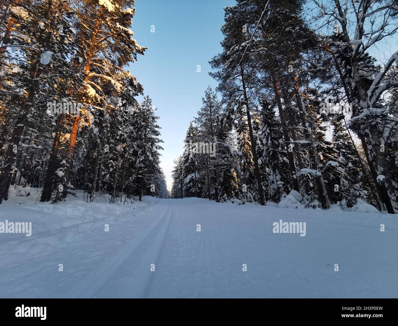 Beau chemin forestier en hiver Banque de photographies et d’images à ...