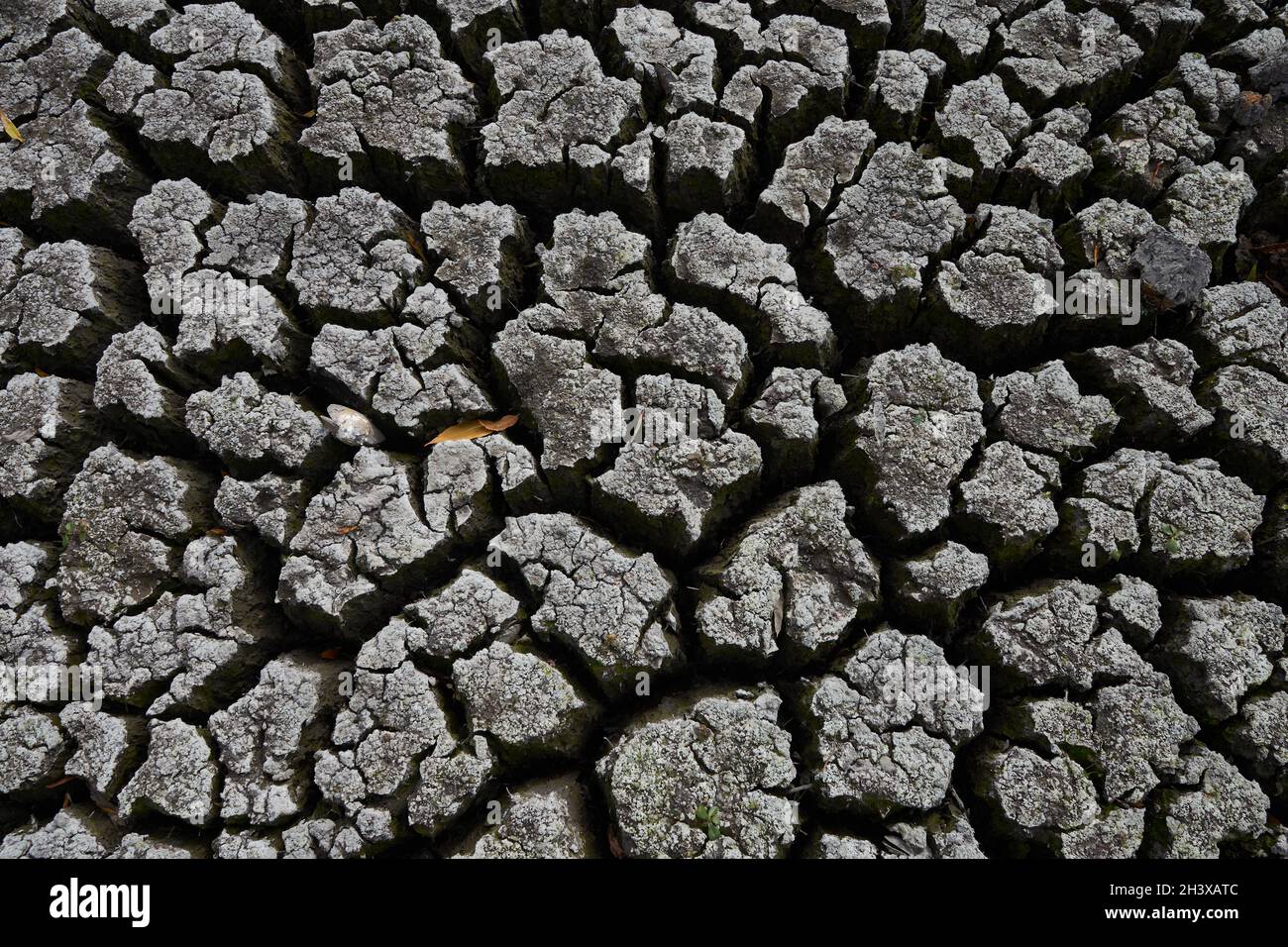 Fond fissuré d'un lac séché en Ukraine.Le niveau d'eau a diminué ...