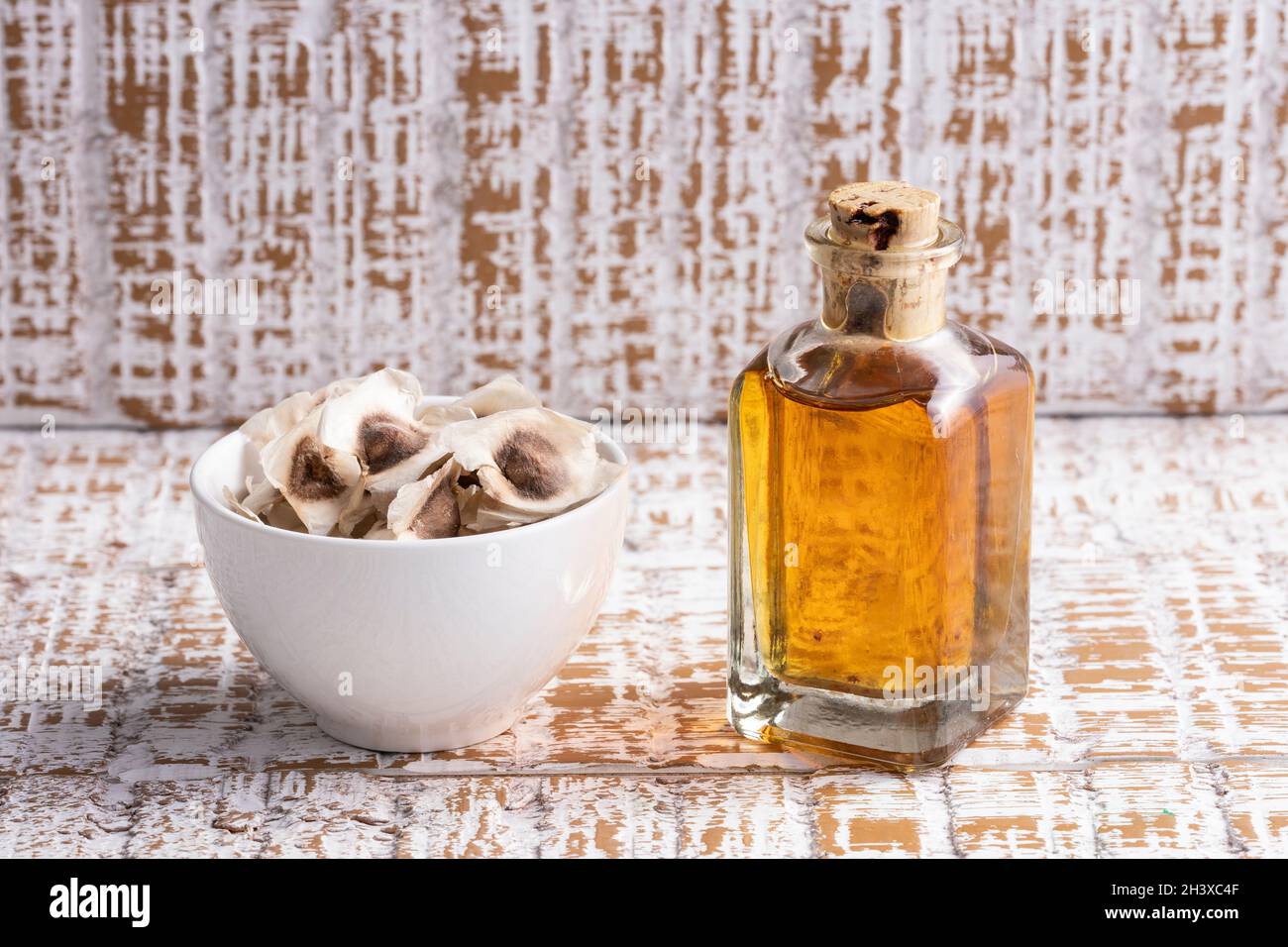 Moringa Oleifera - huile et graines de Moringa Oleifera Photo Stock - Alamy