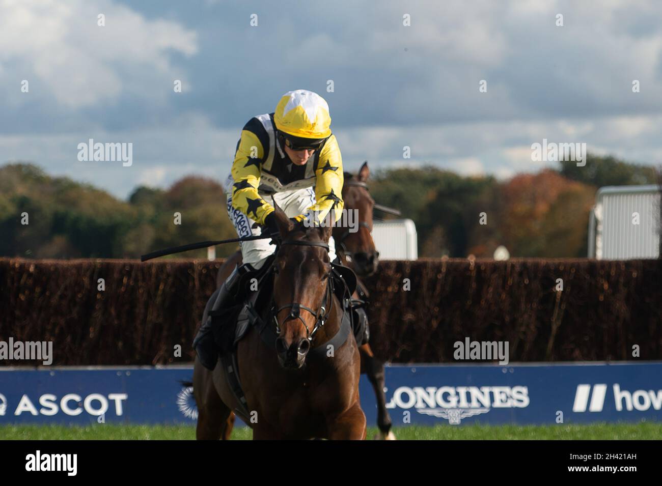 Jockey rex dingle Banque de photographies et d’images à haute ...