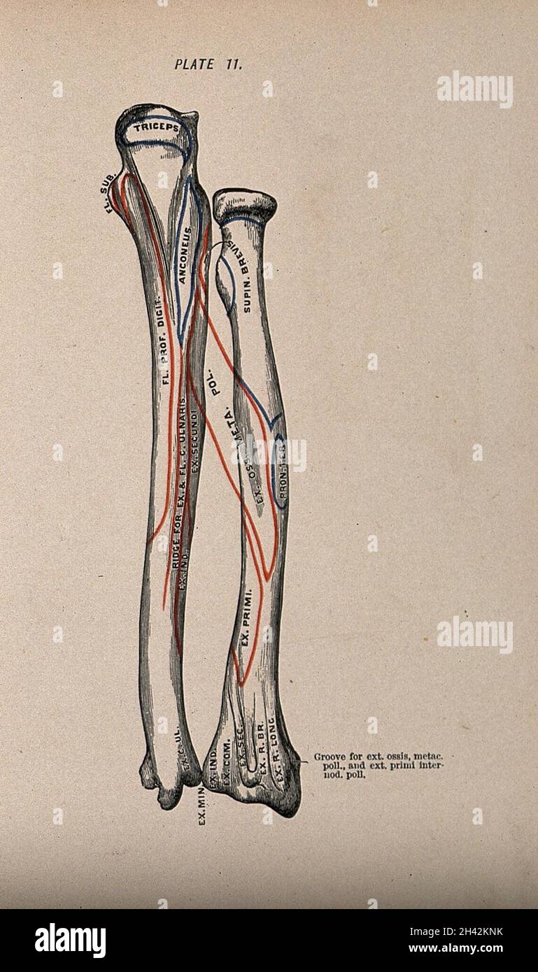 Rayon de bois Banque de photographies et d’images à haute résolution ...