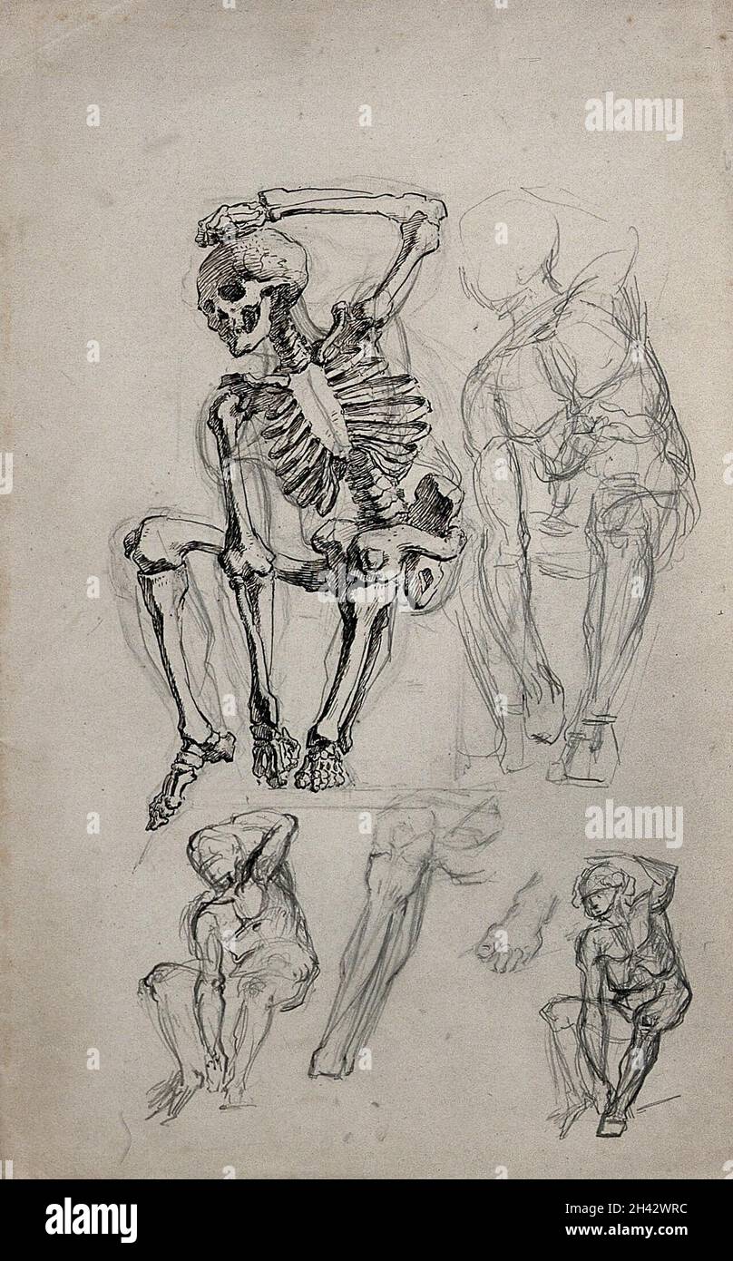 Un squelette assis; cinq croquis d'une figure assise et d'une jambe et ...