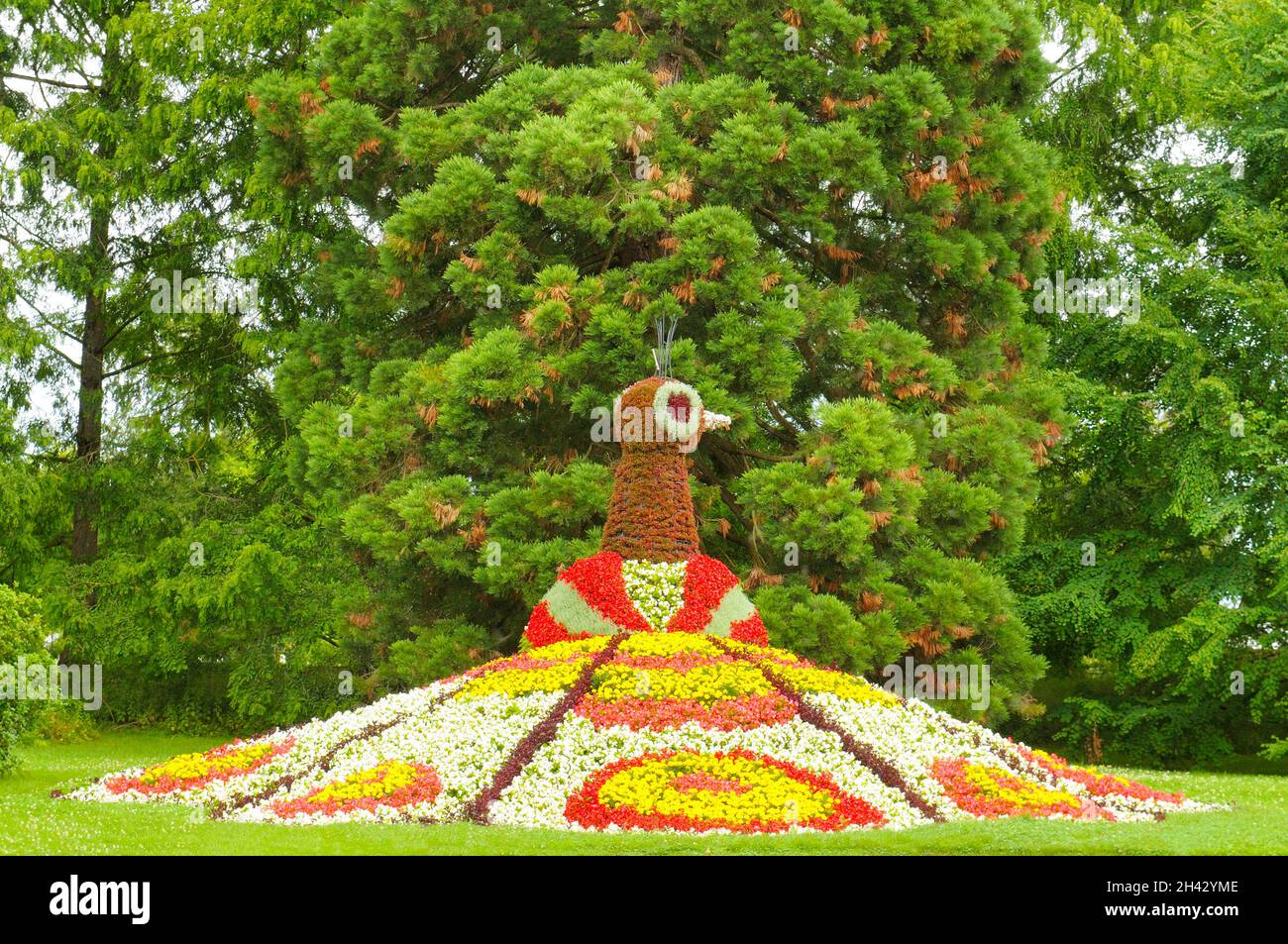 Insel mainau Banque de photographies et d’images à haute résolution - Alamy
