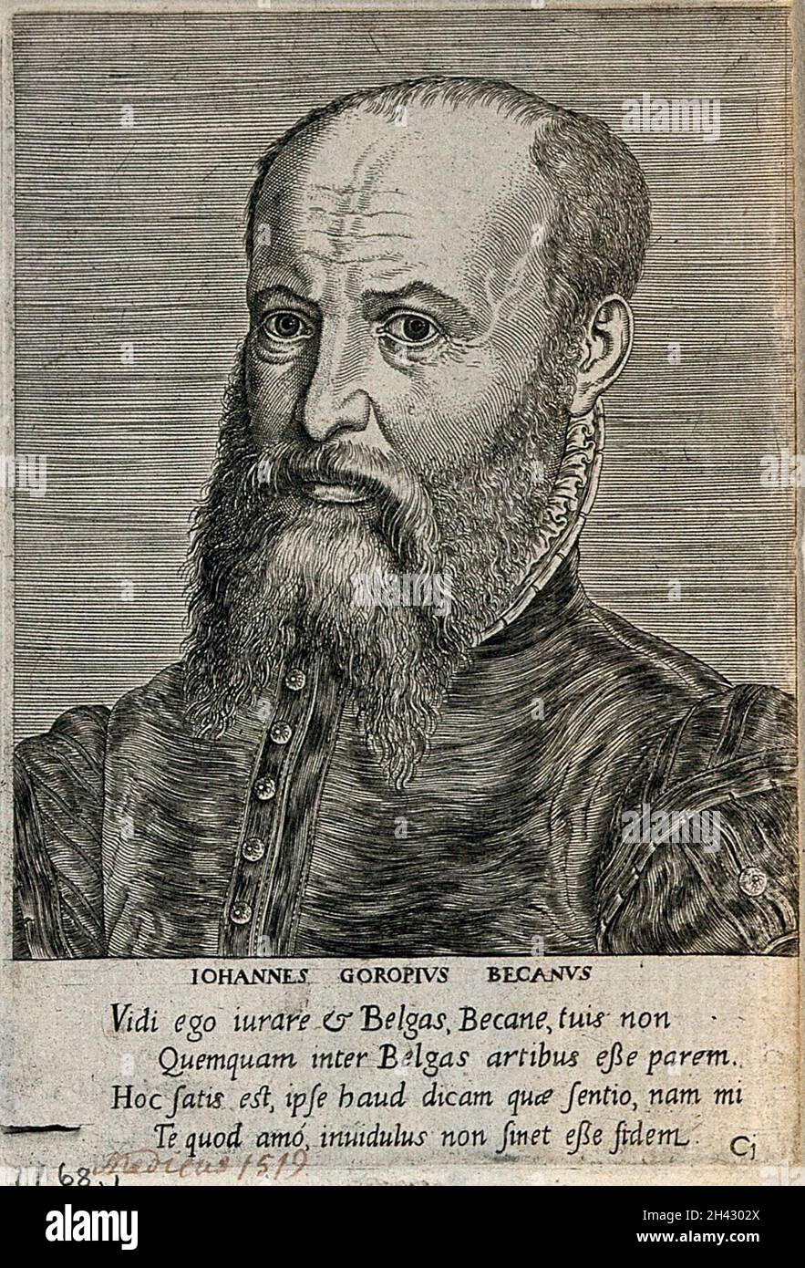 Jan van gorp Banque de photographies et d’images à haute résolution - Alamy