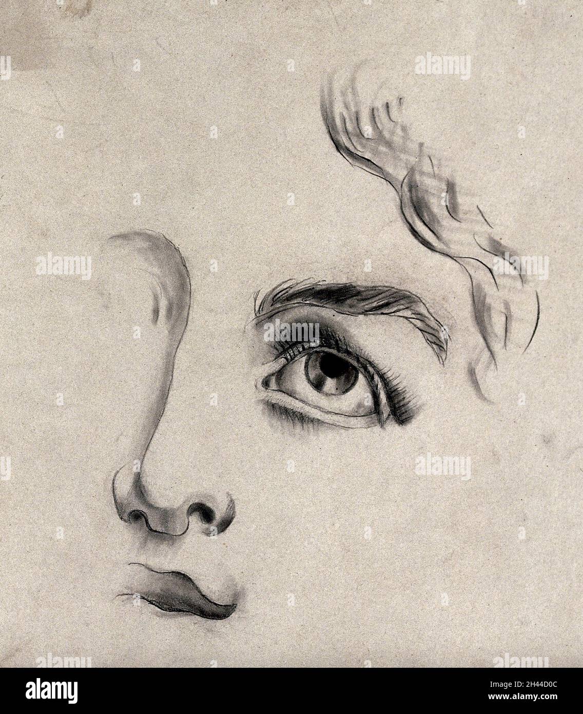 Dessin fragmentaire d'une face.Dessin au crayon Photo Stock - Alamy