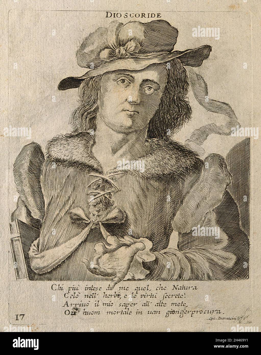 Pedanios dioscorides Banque de photographies et d’images à haute ...