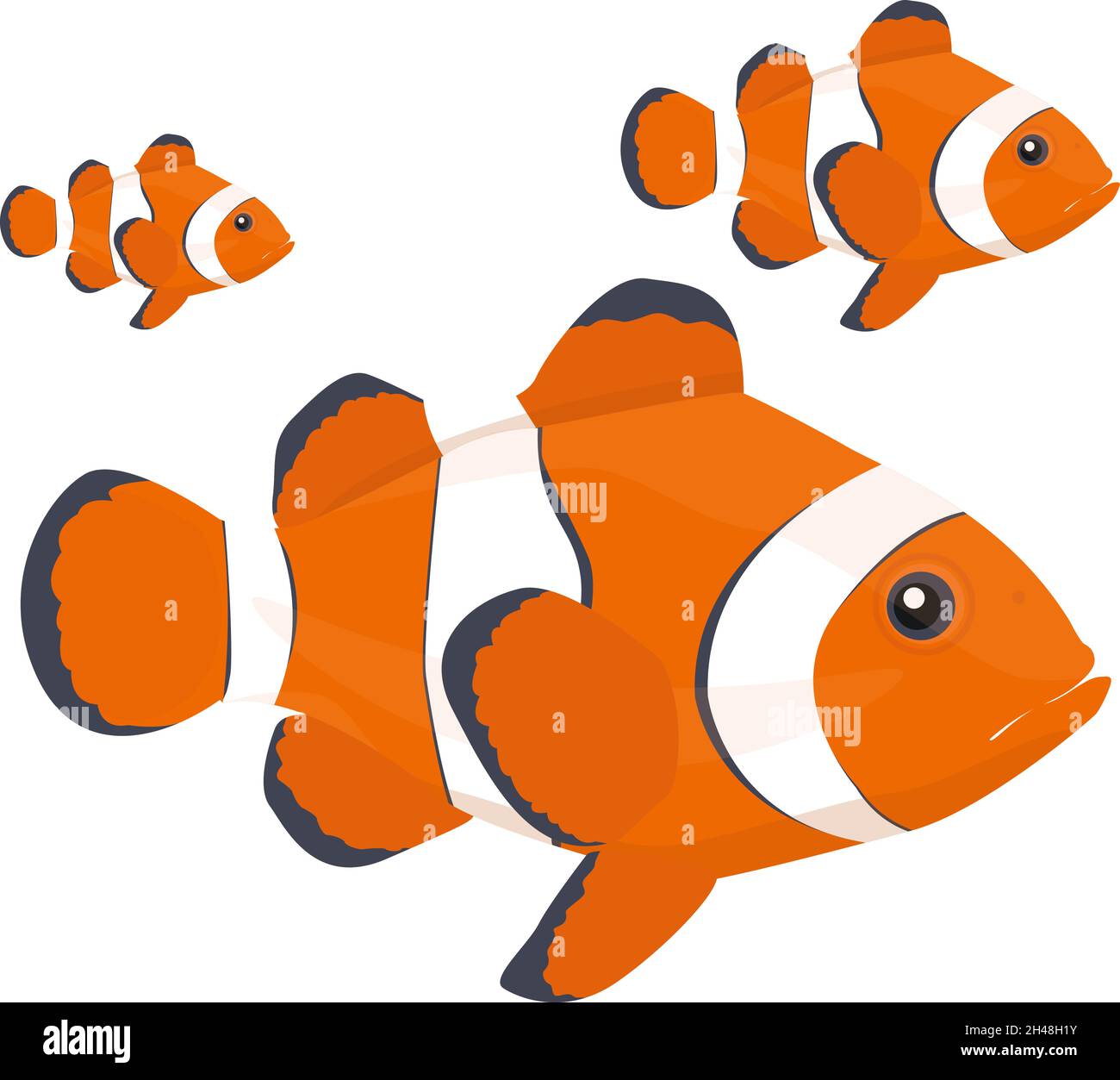 Poissons clowns Banque d'images vectorielles - Alamy