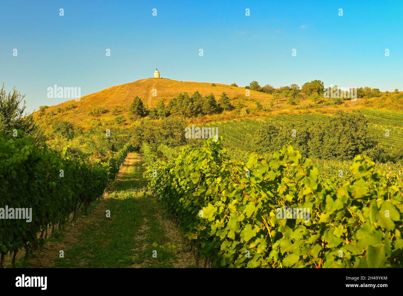 Région de moravie du sud Banque de photographies et d’images à haute ...