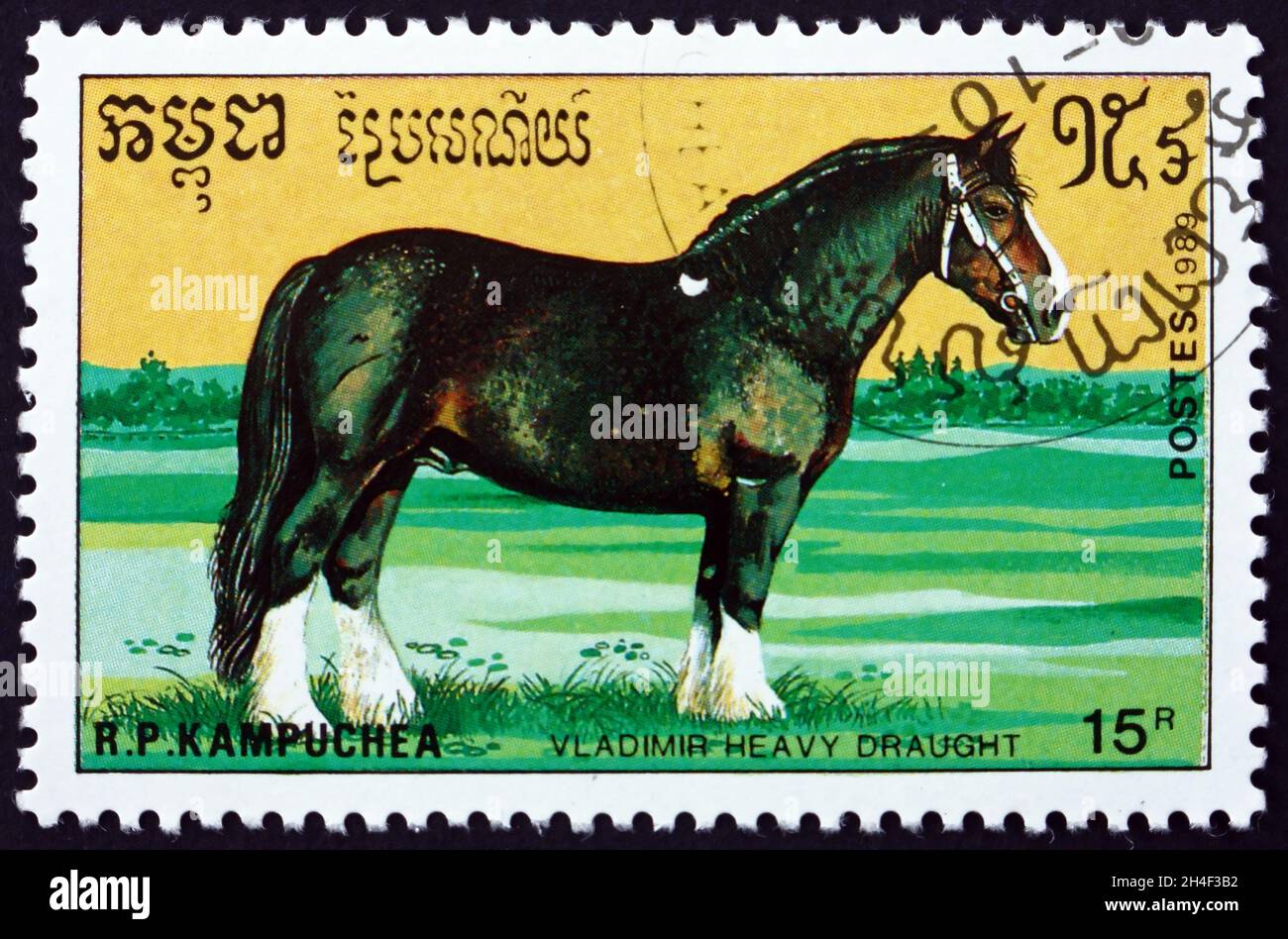 Cheval de trait lourd russe Banque de photographies et d’images à haute ...