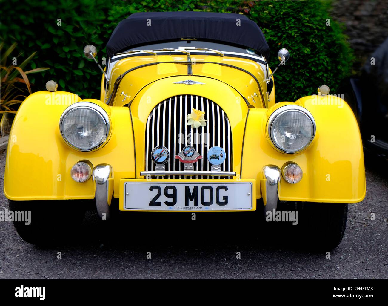 Morgan marque Banque de photographies et d’images à haute résolution ...