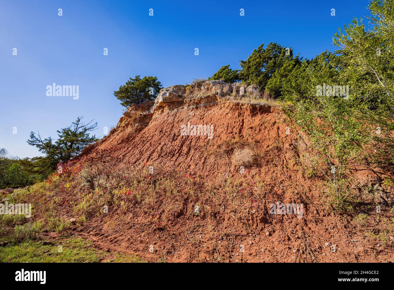 Nez romain Banque de photographies et d’images à haute résolution - Alamy
