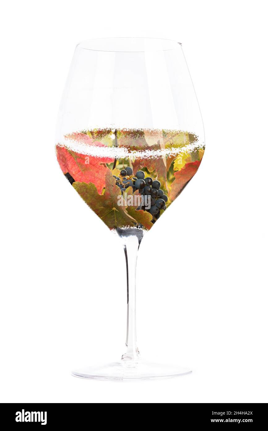 Vin, concept de récolte d'automne.Vignoble dans un collage de verre ...