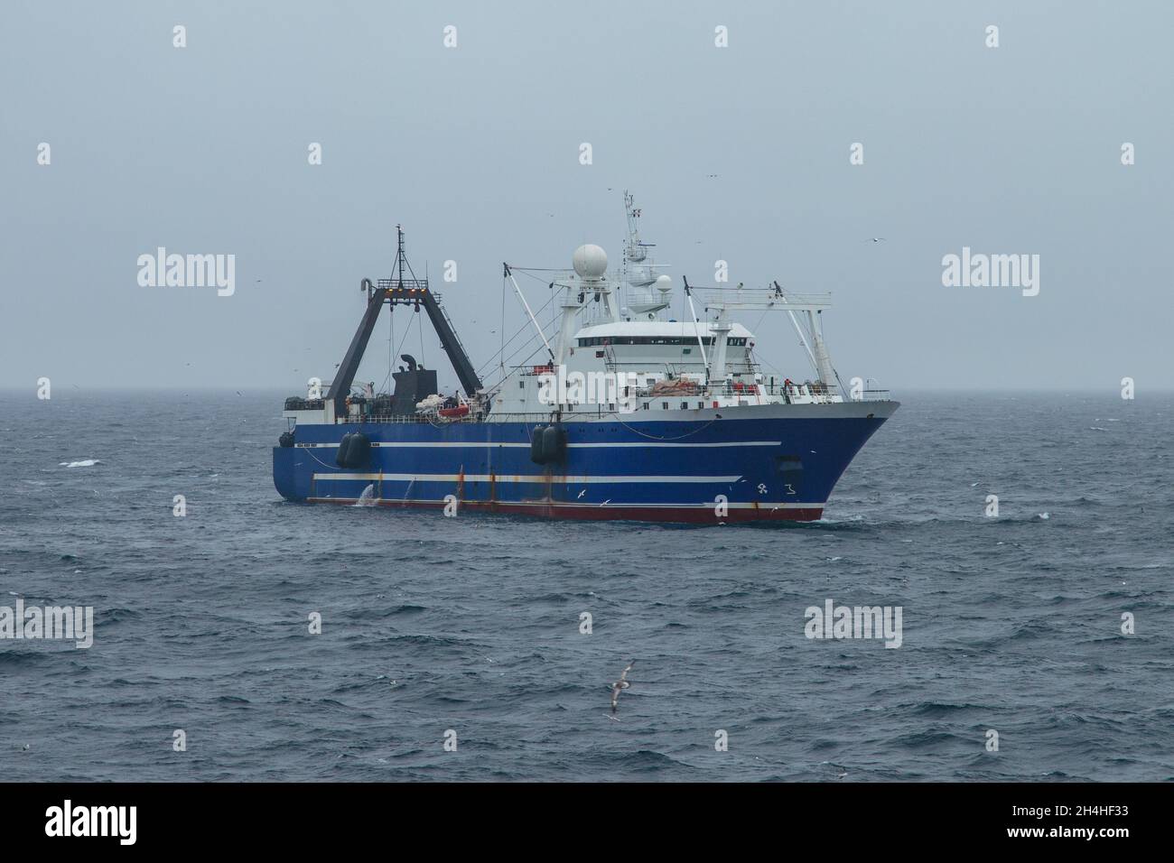 Flotteur de mer Banque de photographies et d’images à haute résolution ...