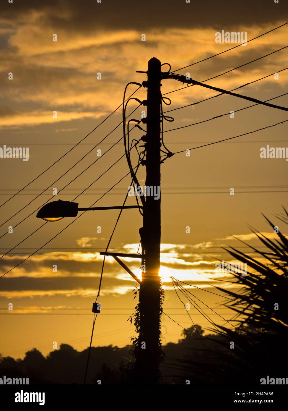 Ici, nous voyons un poteau portant une lumière de rue et des câbles ...