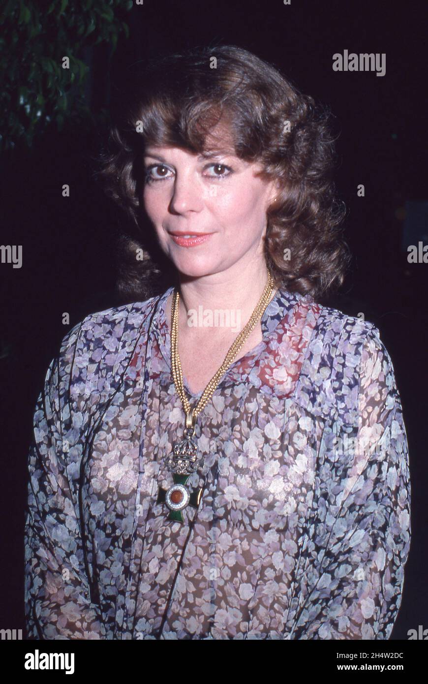 **PHOTO DU FICHIER** Lana Wood allègue dans le Nouveau livre. Sœur Natalie Wood a été agressée ...