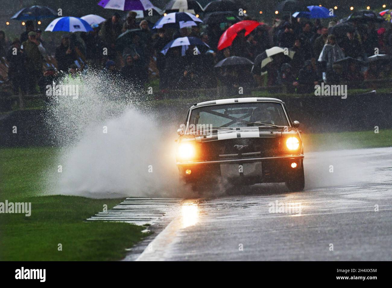 1966 mustang gt Banque de photographies et d’images à haute résolution ...